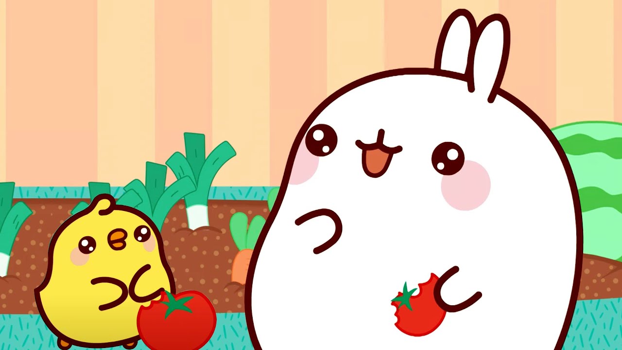 Adventures Of Molang | The Vegetable Garden 🍅 Molang and Piu Piu ...