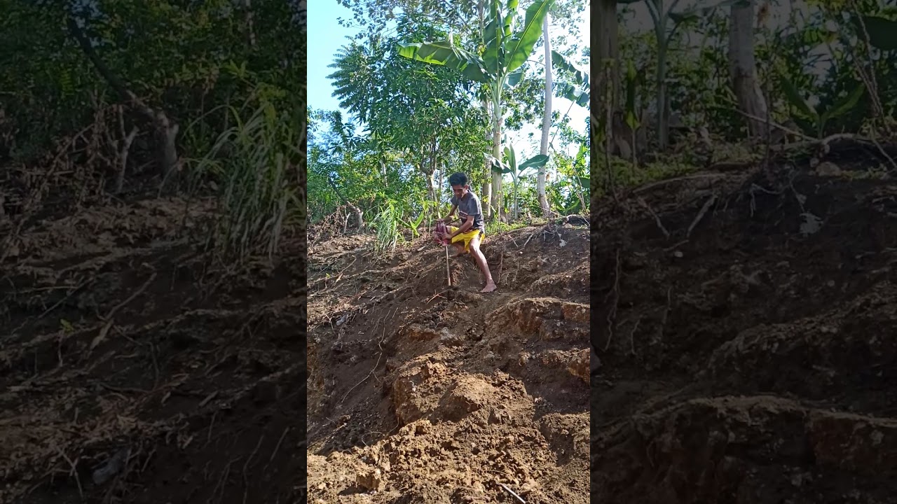 Banting tulang demi keluarga - YouTube