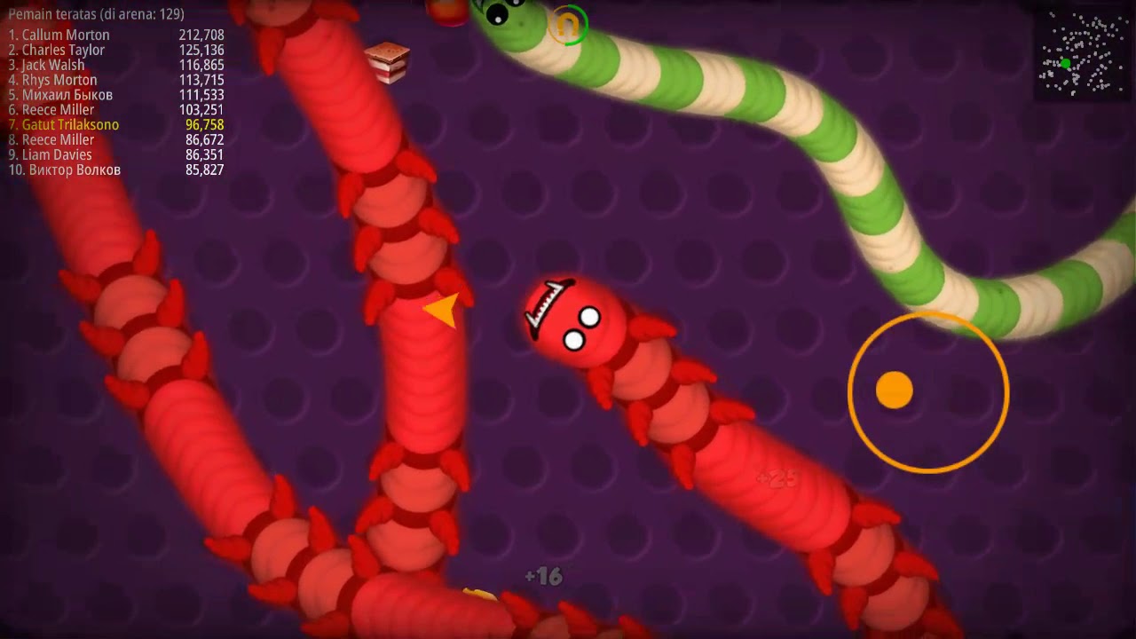 Cacing besar alaska#1 - YouTube