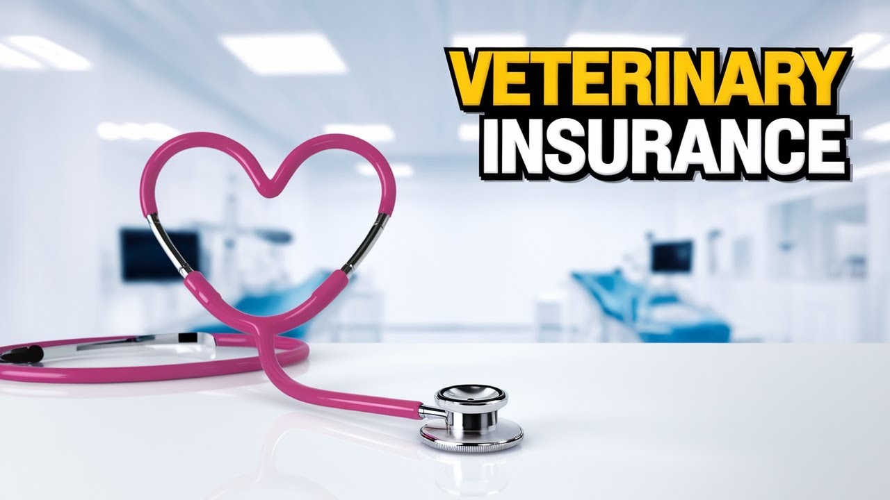 Veterinary Professional Liability Insurance - YouTube