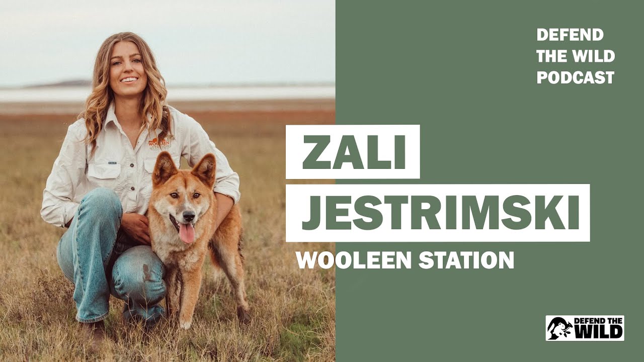 Defend The Wild Podcast - Episode 6 - Zali Jestrimski from Wooleen ...