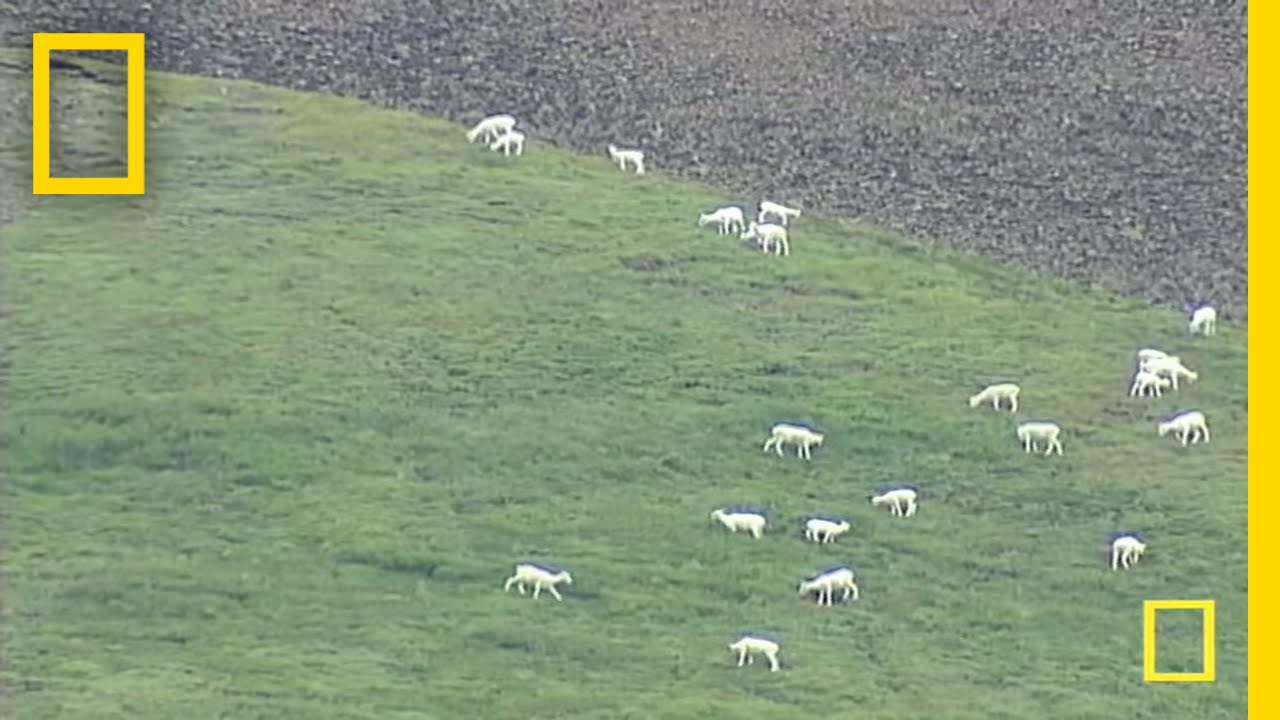 "The High One" | National Geographic - YouTube