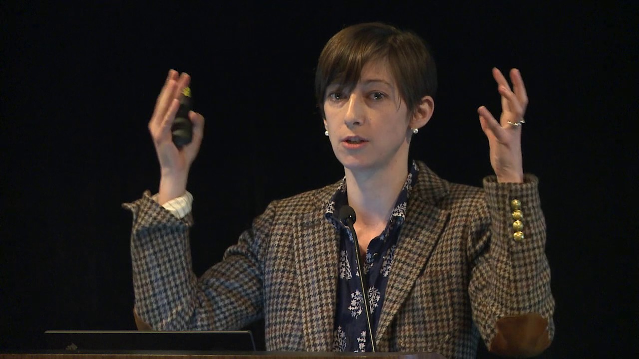 Big Ideas in Cognitive Neuroscience, CNS 2017: Danielle Bassett - YouTube