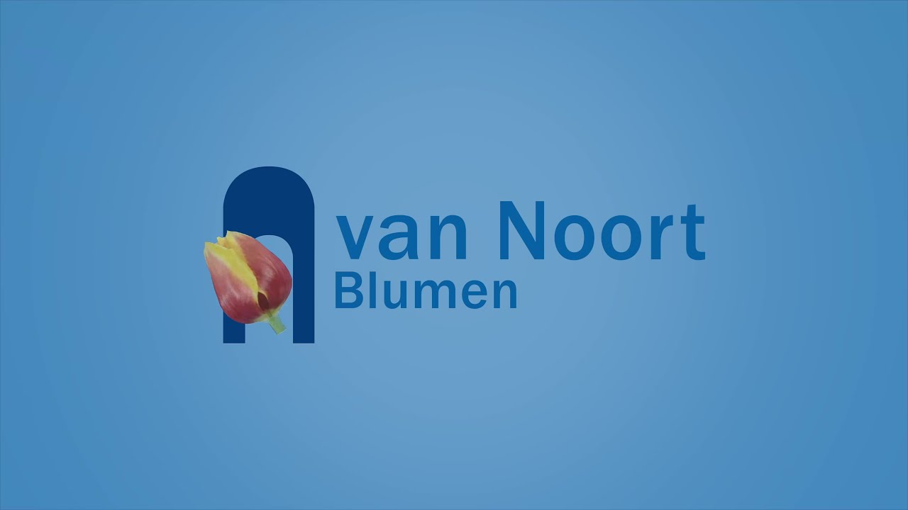 Blumen vom Blumenfachgeschäft aus Bochum | van Noort Blumen - YouTube