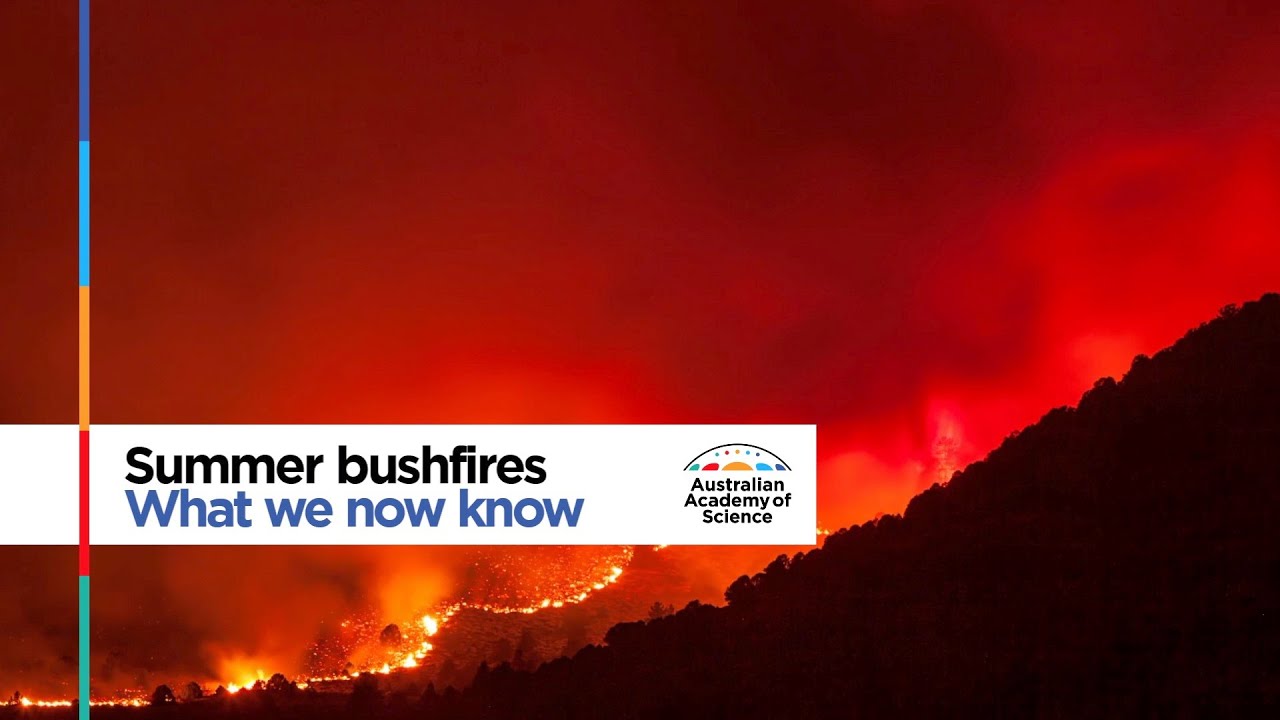 Future of bushfires? The Latest from Science with Dr Michael-Shawn ...