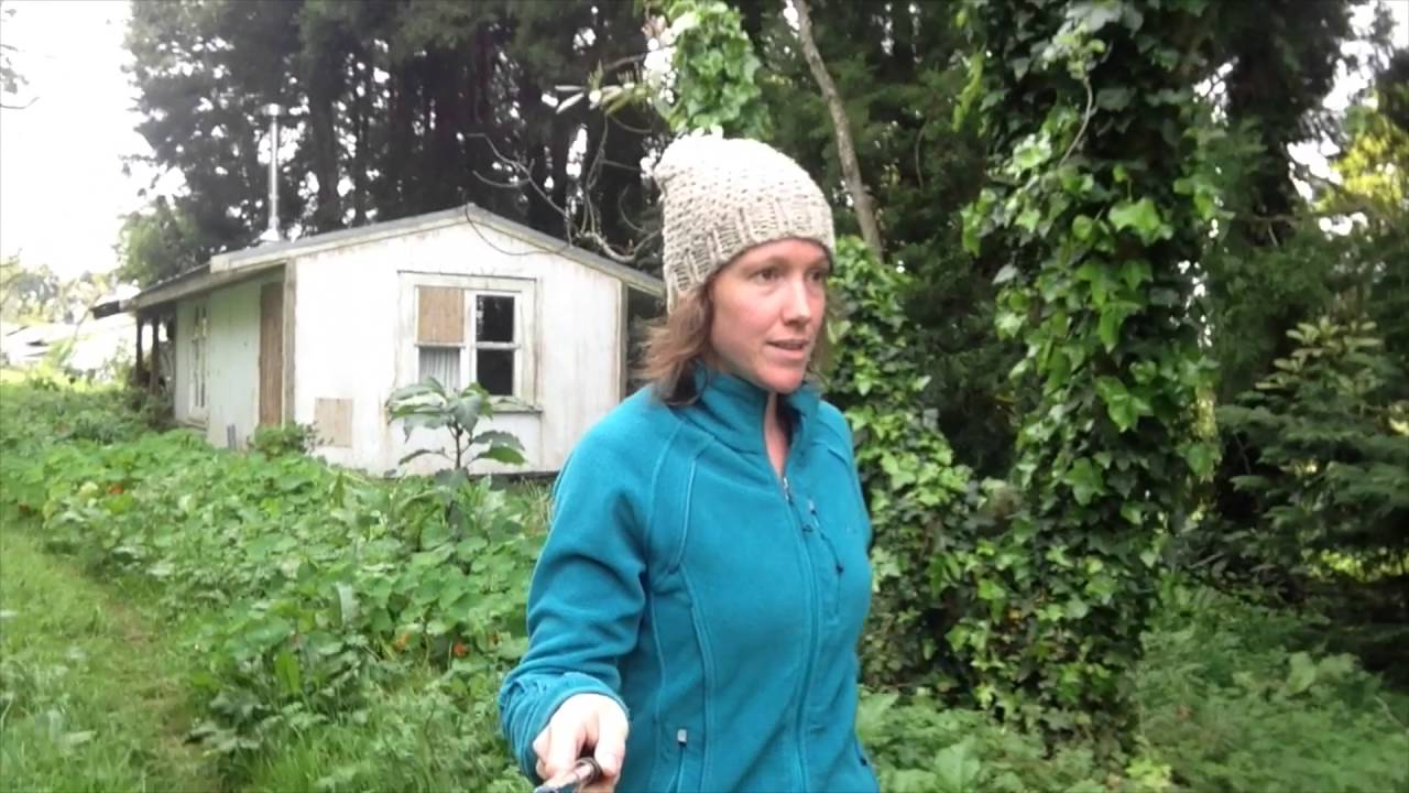 NEW ZEALAND, NORTH ISLAND - WWOOFING - The Wwoofer cabin, Mangawhai New ...