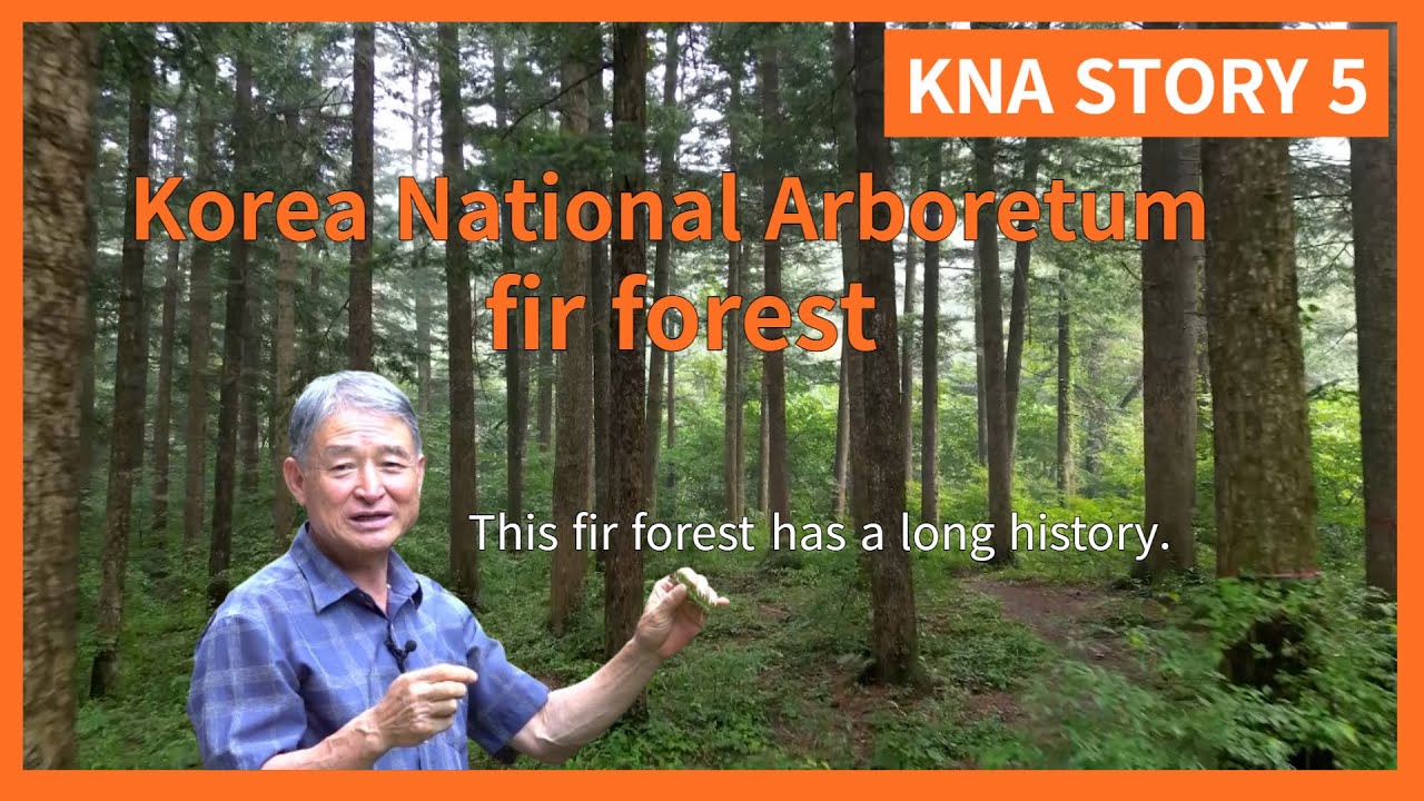 [KNA Story 5] Korea National Arboretum Fir Forest - YouTube