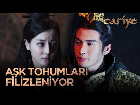 Cariye Kral İçin Endişelendi  | Cariye (The King Woman)