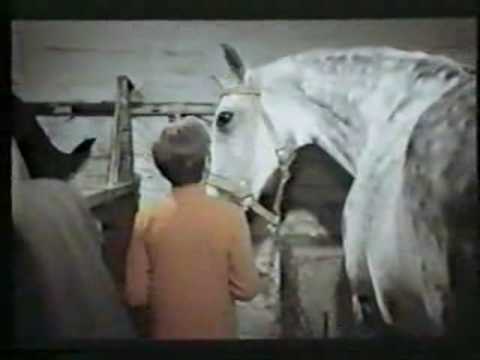 Heintje - Mamatschi - YouTube