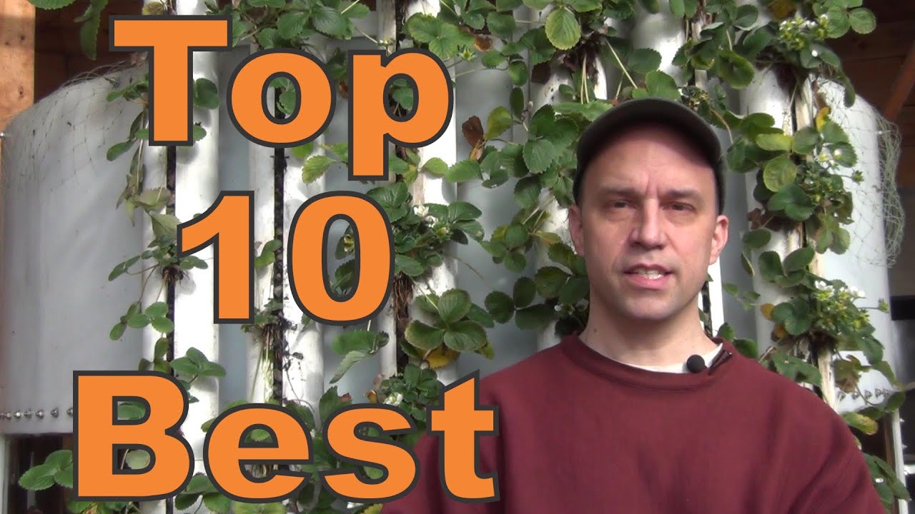 The Top 10 Best Videos of 2014 - YouTube