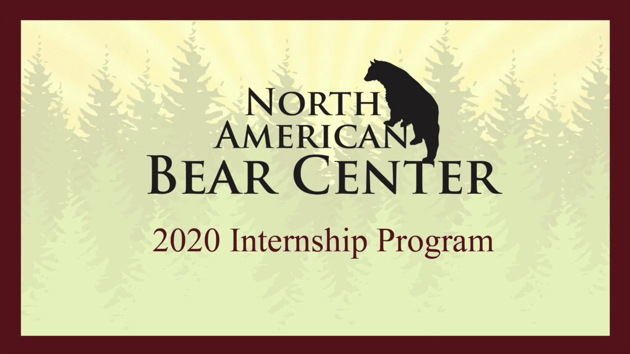 2020 North American Bear Center Internship Program - YouTube