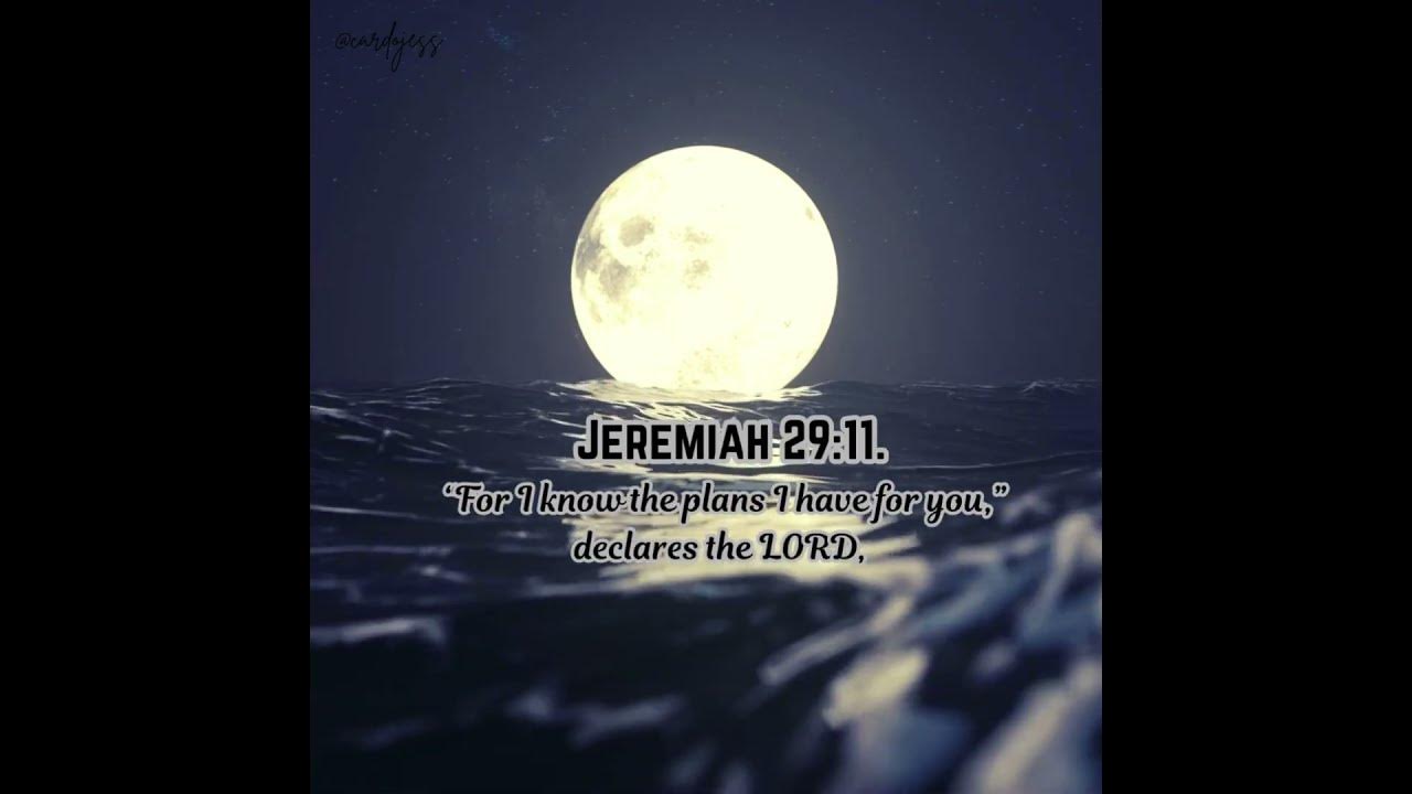 Jeremiah 2911 “For I know the plans I have for you,” declares the LORD ...