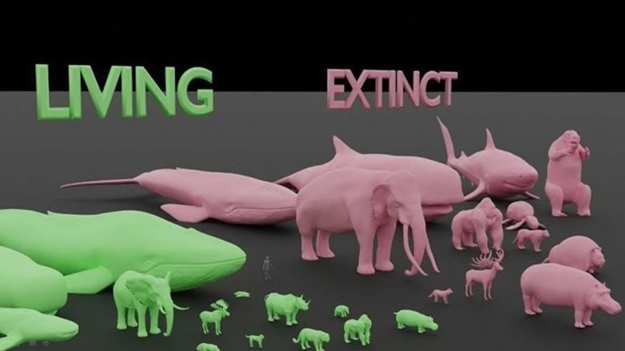 Largest Living vs Extinct Animals ll 3d Animation - YouTube