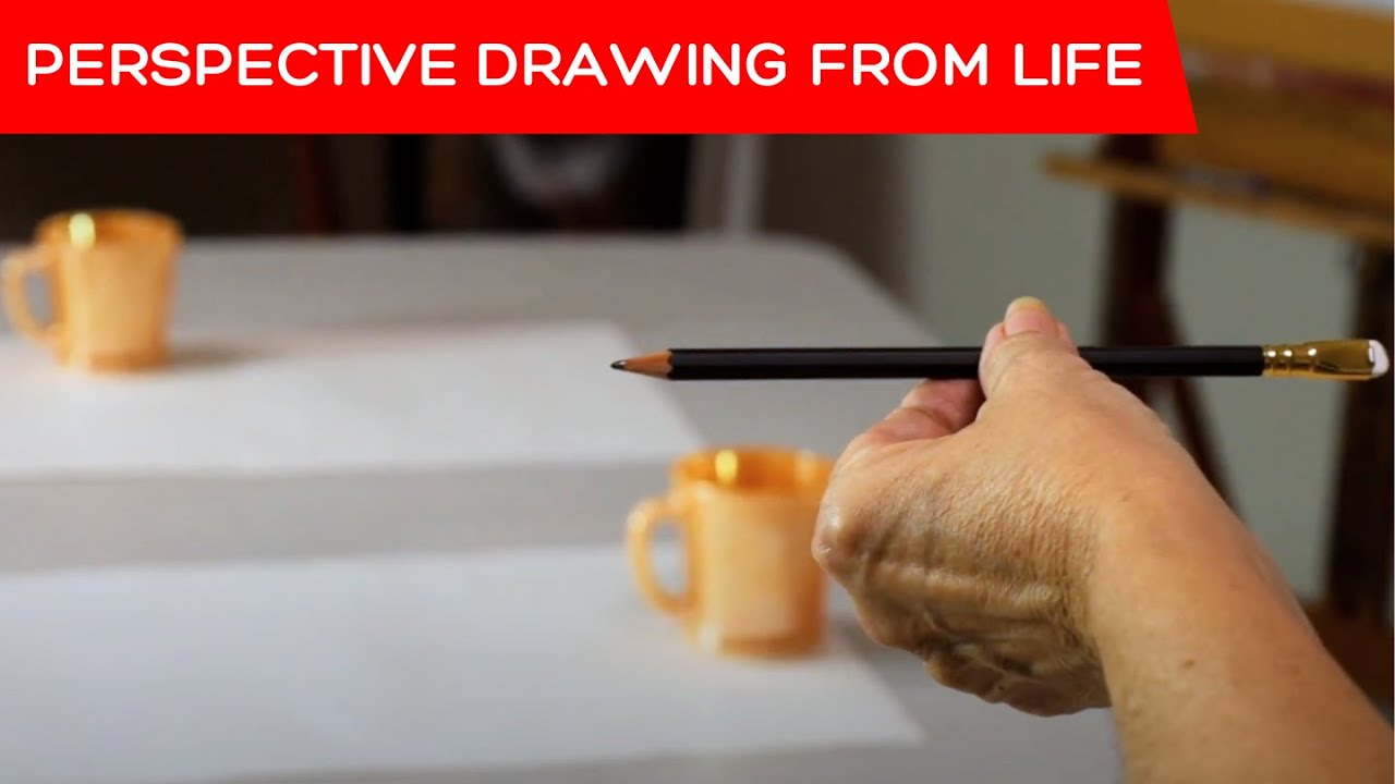Lesson 9: Perspective Drawing from Life | The 4 Pillars of Drawing ️ ...