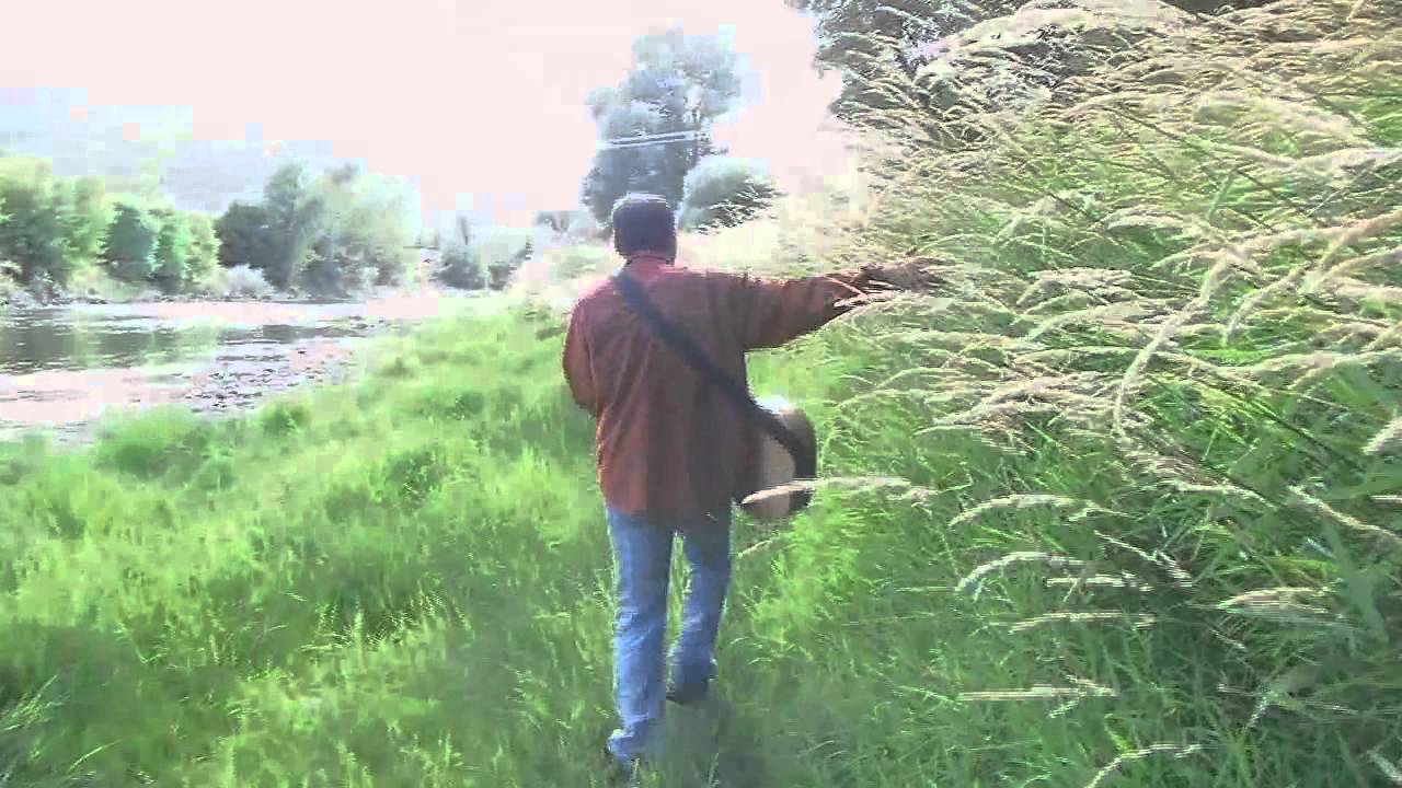 Walk With Me by Russell Morrison - YouTube