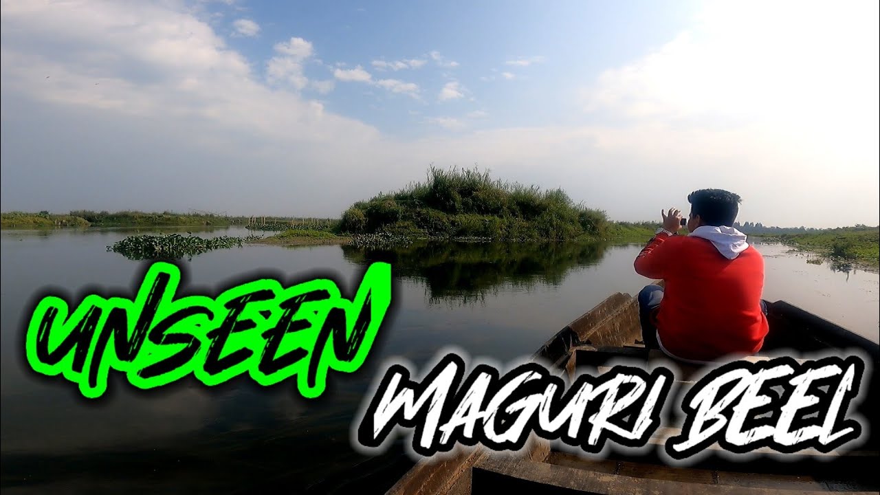 Unseen Maguri Motapung Beel | Colourful Mandarin Ducks sighted in TSK ...