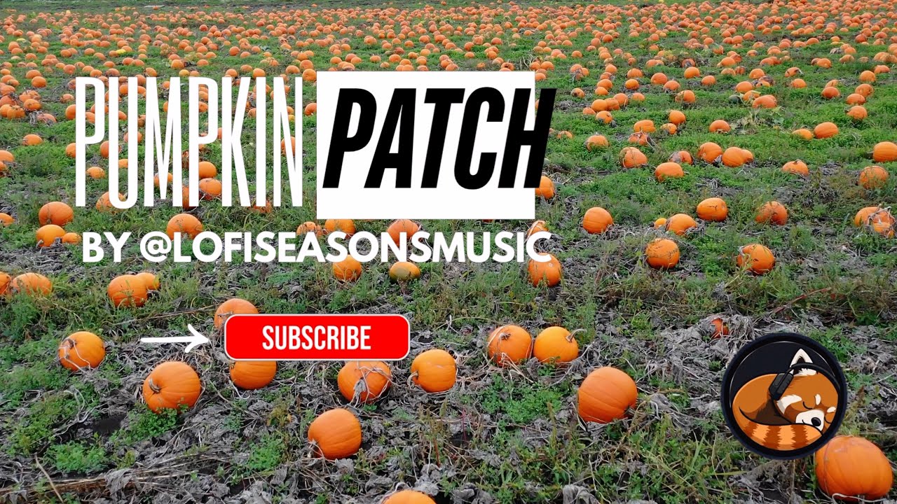 Positive Lo-Fi: "Pumpkin Patch" 🎃 - Bright Study Beat for Focus & Good ...