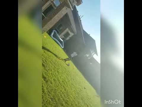 Training Part 4 - YouTube