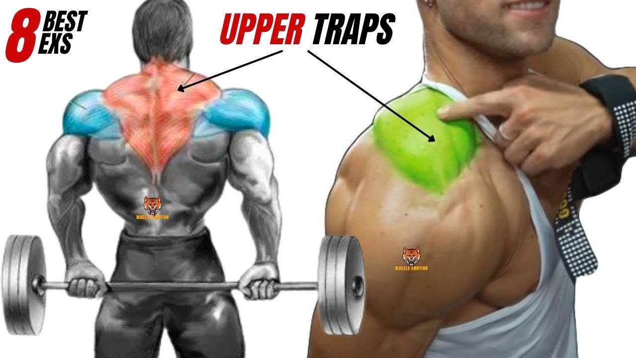 8 best upper traps exercises at gym / HUGE TRAPS - YouTube
