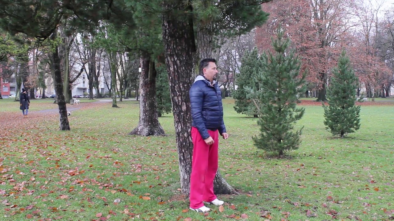 4. Scapular Setting - stretching - YouTube