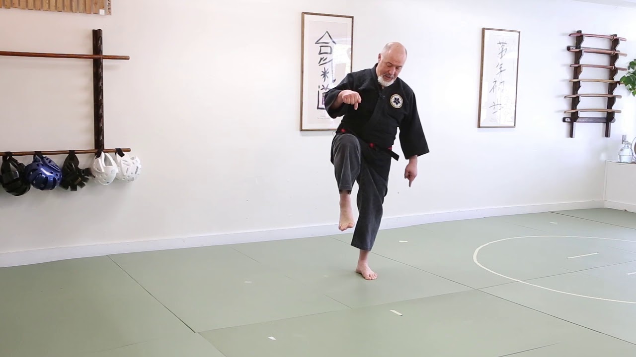 Proper Front Leg Front Kick - YouTube
