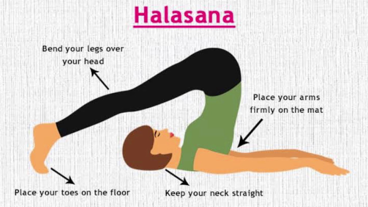 What should you know before doing Halasana?||Benefits of doing Halasana ...