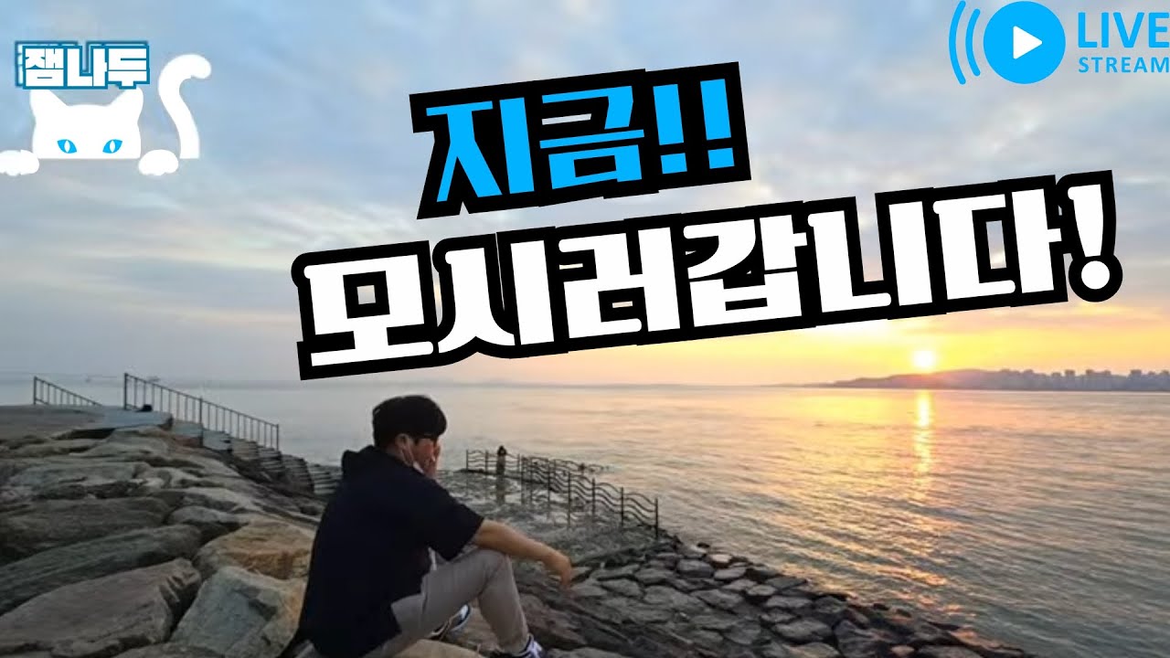 하하하하하 Youtube