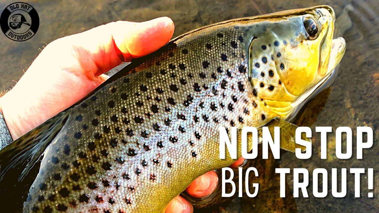 Incredible Late Fall Action on the Boise River with SURPRISE Catch ...