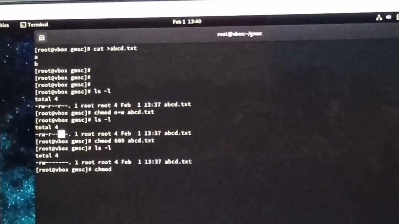file permissions command in linux - YouTube