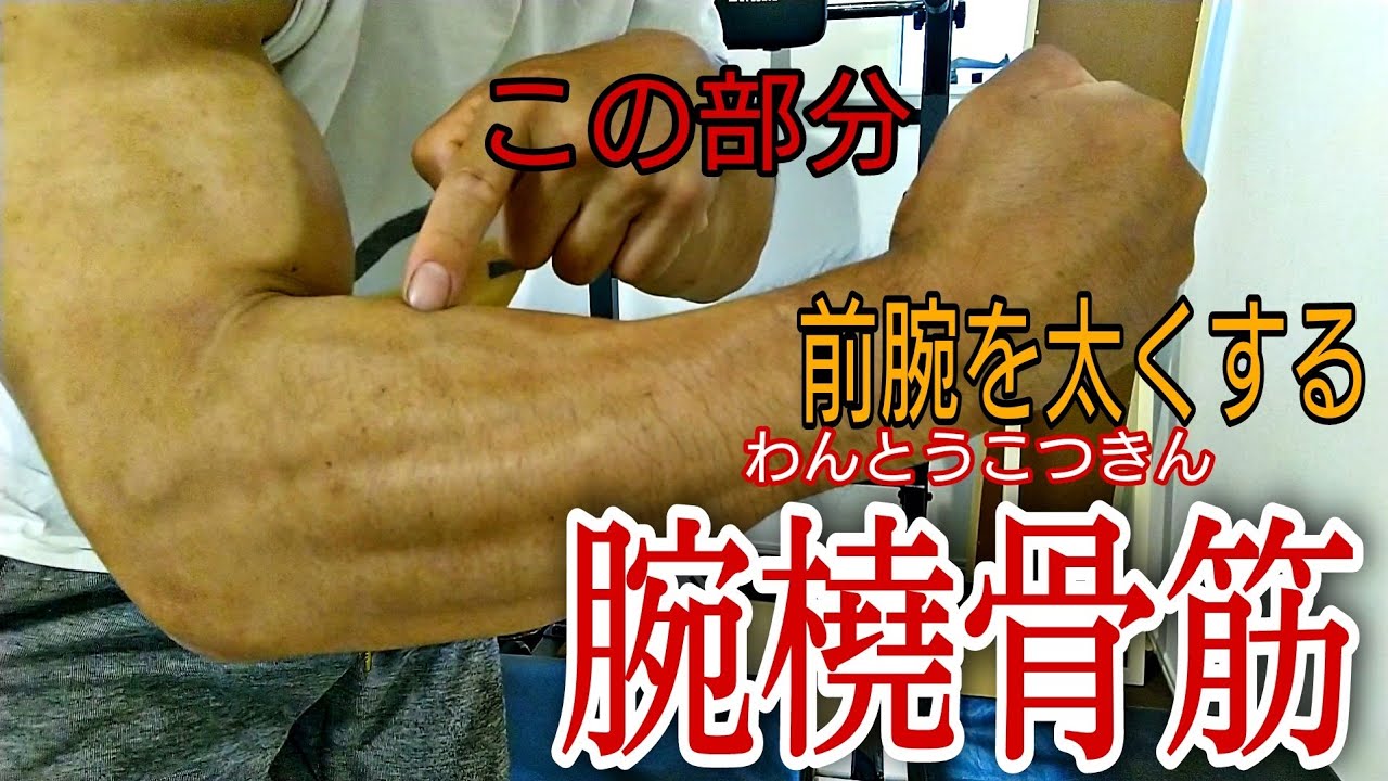 【前腕を太くする】腕橈骨筋を鍛える3種目の筋トレ【トライセット】 Youtube