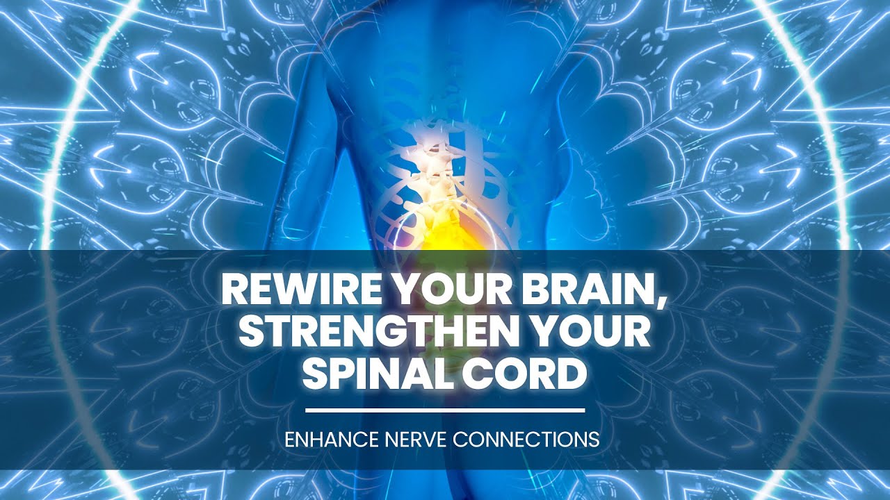 Rewire Your Brain, Strengthen Your Spinal Cord & Enhance Nerve ...