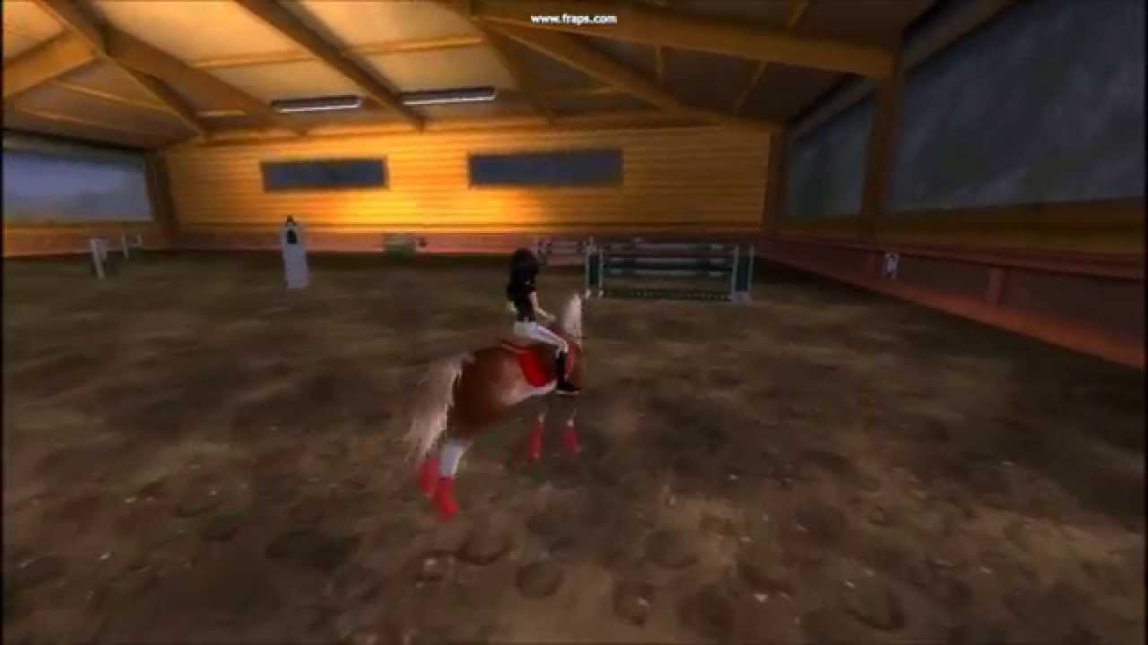 Dressage,Reining and Show jumping. SSO - YouTube