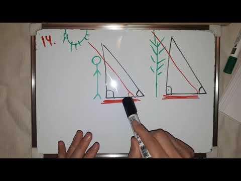 Riyaziyyat 8 ci sinif səhifə 152. çalışmalar