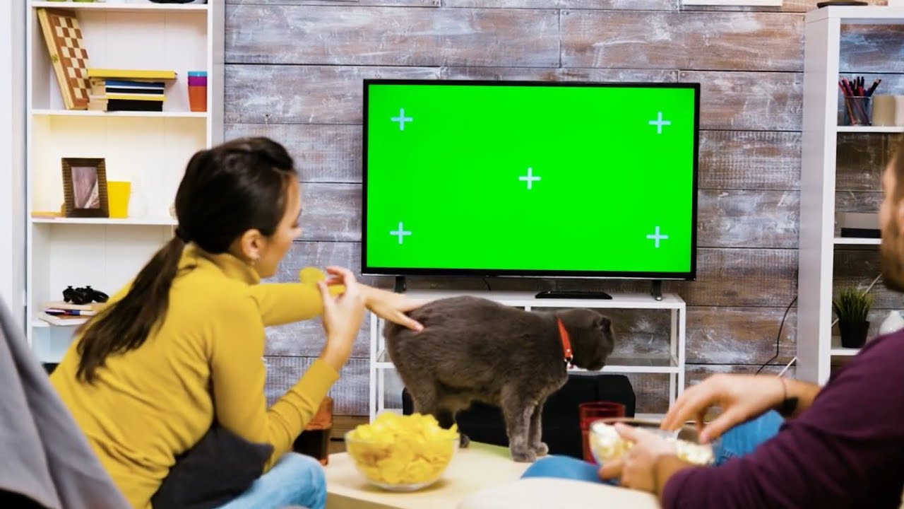 Royalty free People watching TV Green Screen Video | Content + - YouTube