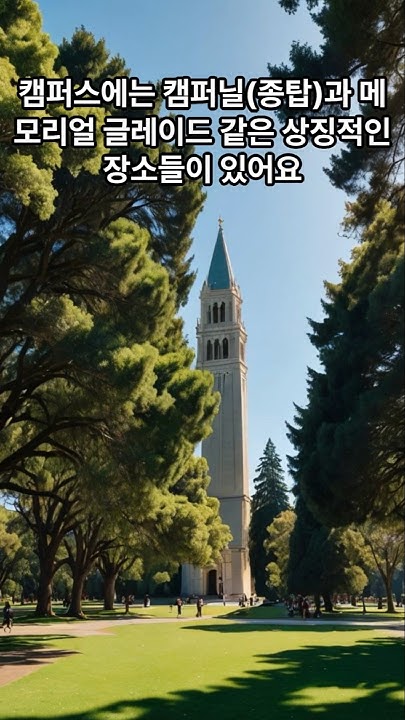 미국 UC버클리대학교 캠퍼스 특징과 지역환경 및 유학묘미 #university #college #students #청년 #영어 ...