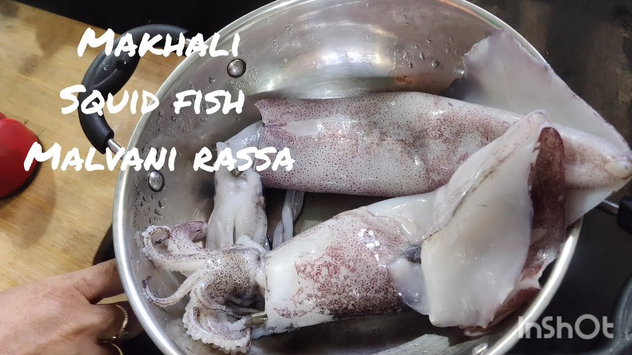 MAKHALI ( SQUID FISH ) MALVANI RASSA ( माकली माशाचा मालवणी रस्सा ) मटना ...