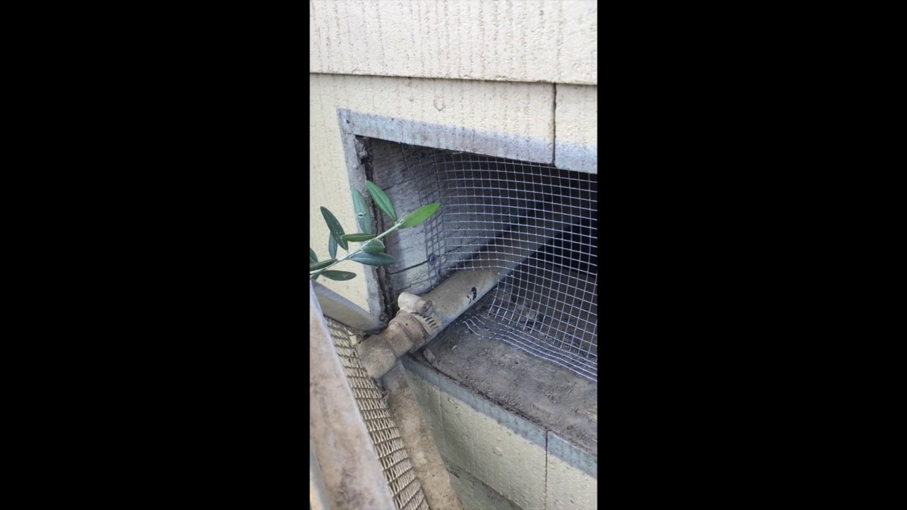 Rodent Exclusion Job - YouTube