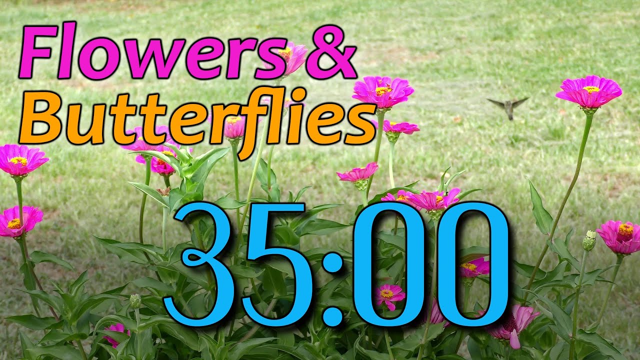 35 Minute Timer | ⏰ Bell Alert | No Music | LSAT Study Aid, Focus ...