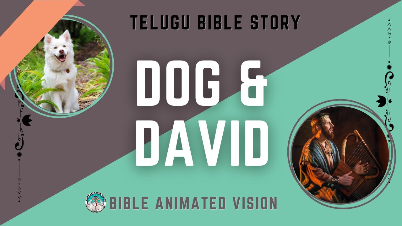 D FOR DOG AND DAVID\TELUGU BIBLE STORY\BIBLE ANIMATED VISION\06-06-23 ...