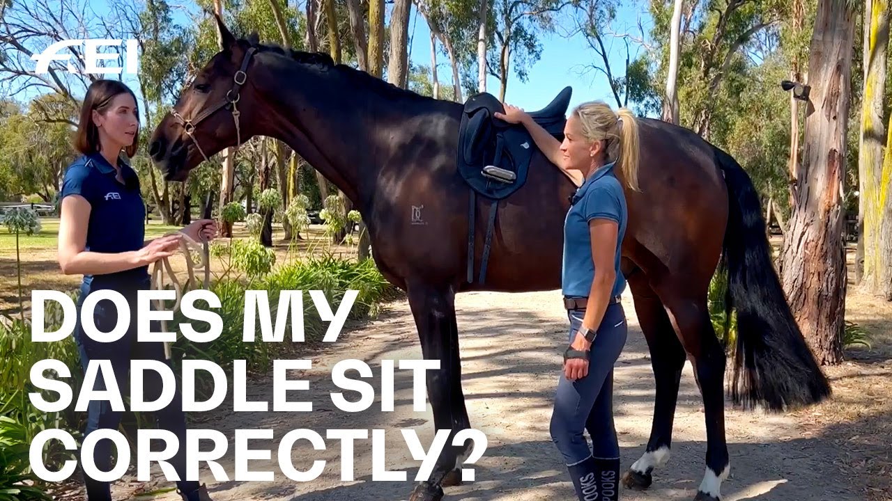 @HanEquestrian and Amanda Ross explain: Where should your saddle sit ...