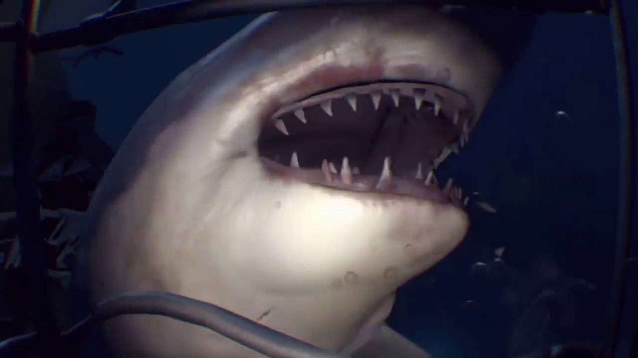 VR: Underwater Shark Attack - YouTube