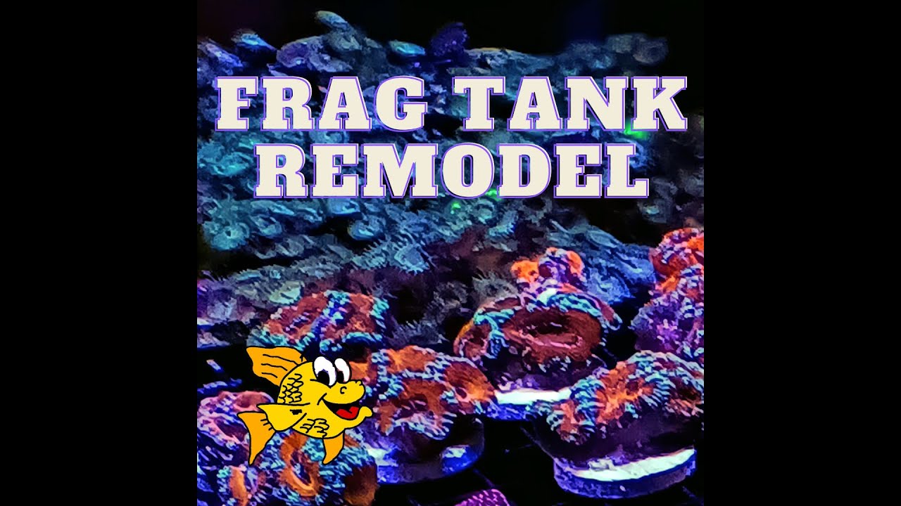 Installing new frag racks - YouTube