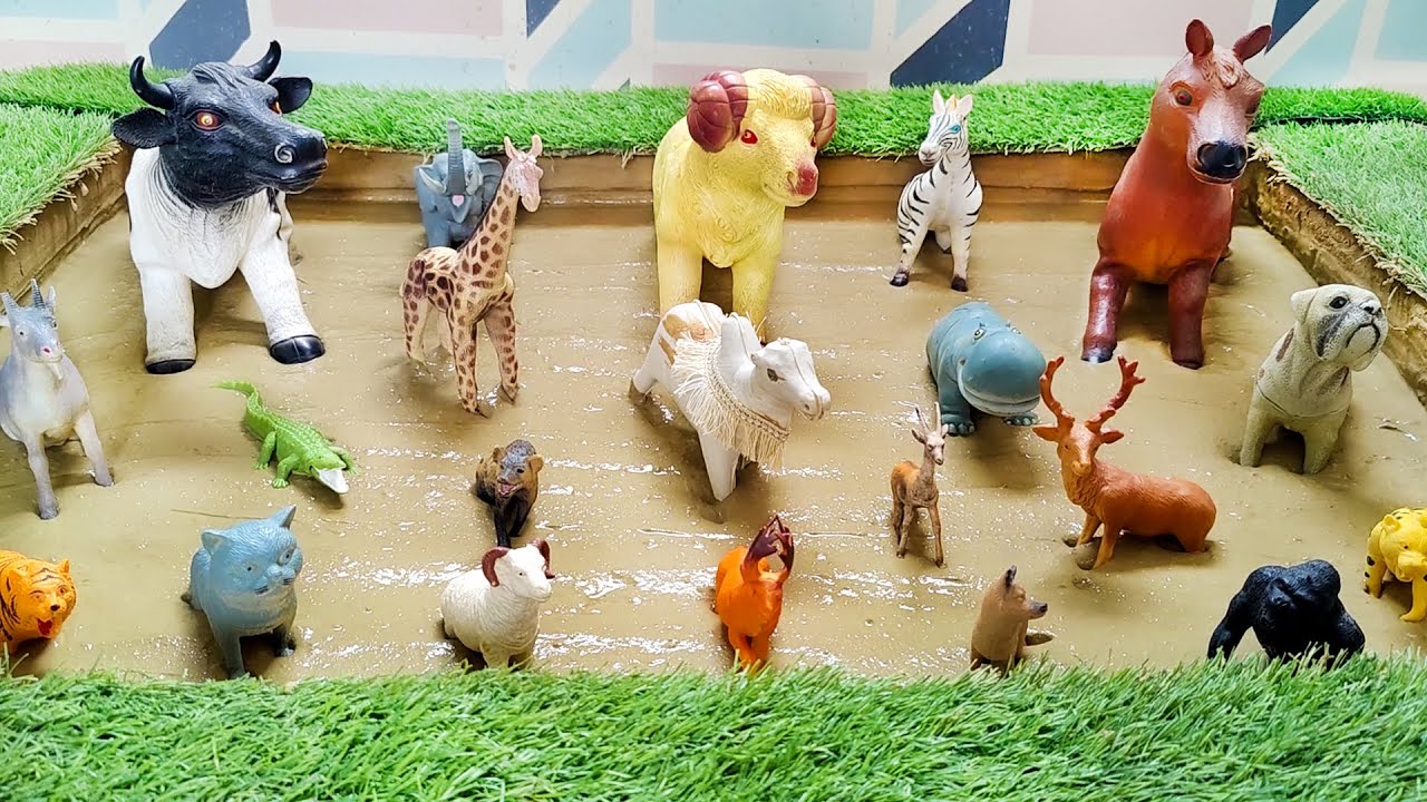 Farm Animals and Pet Animals Muddy Adventure for Kids | Enjoying Farm ...