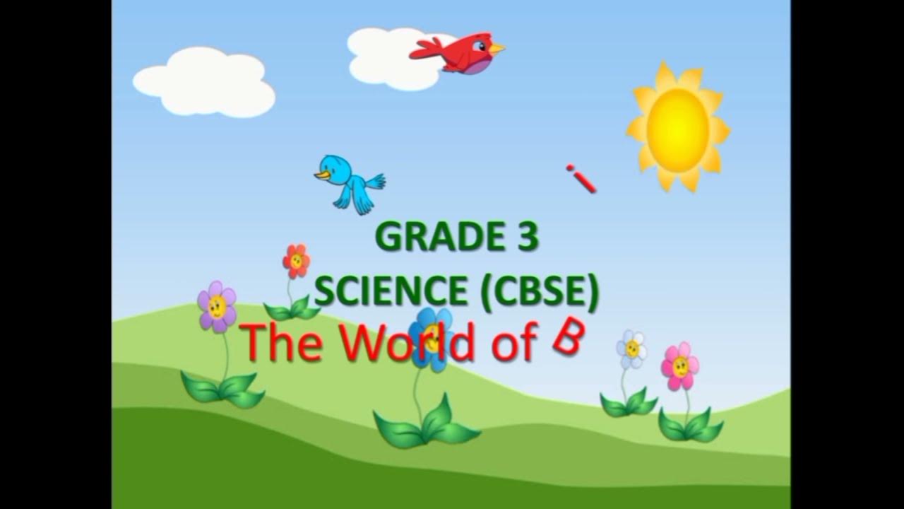 Feet and claws of birds| the world of birds| evs grade 3 | part 4 - YouTube