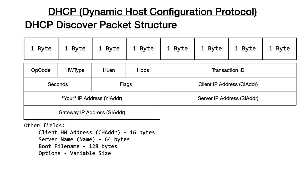 23-DHCP - YouTube