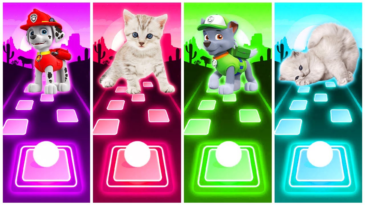 Marshall - Cat - Rocky - Cat - Tiles Hop EDM Rush - YouTube