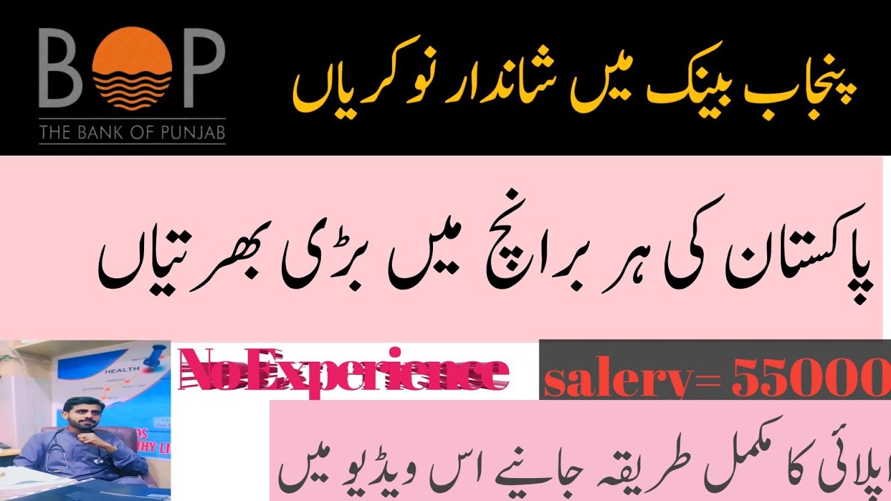 BOP Latest jobs update | How to apply for BOP Collection Officer Jobs ...