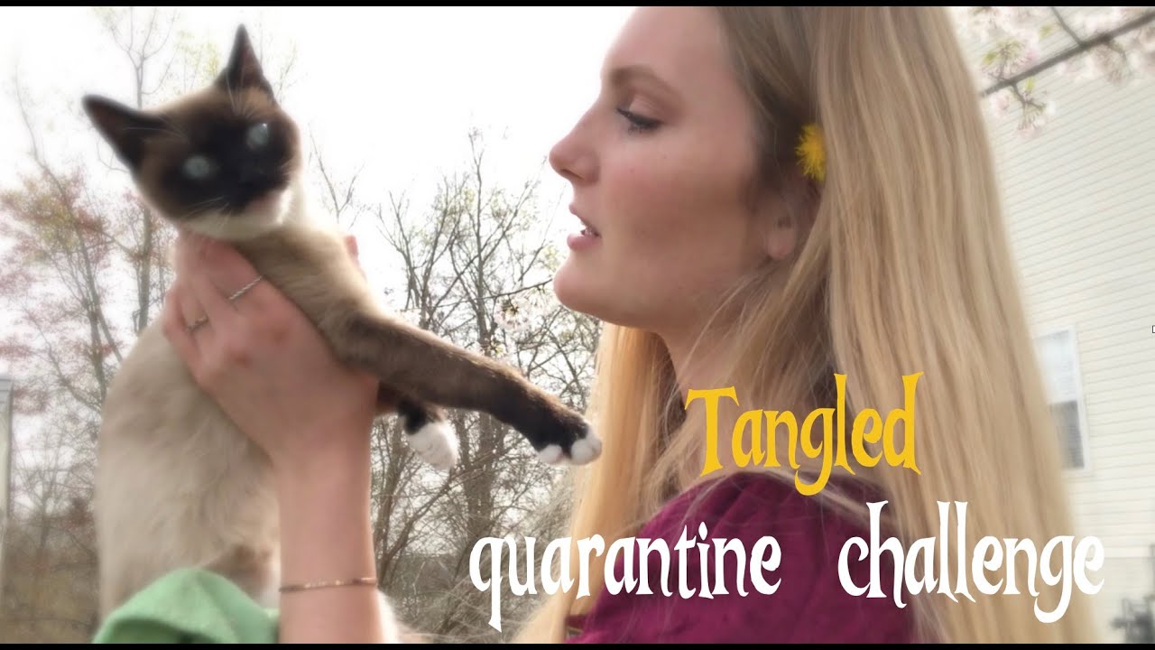 QUARANTINE CRAFTS: Tangled Edition - YouTube