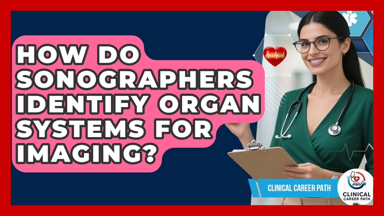 How Do Sonographers Identify Organ Systems For Imaging? - Clinical ...