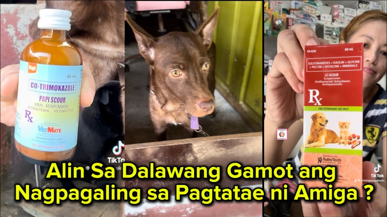 LC SCOUR OR PAPI SCOUR ALIN SA DALAWA ANG NAGING MABISANG GAMOT SA ...